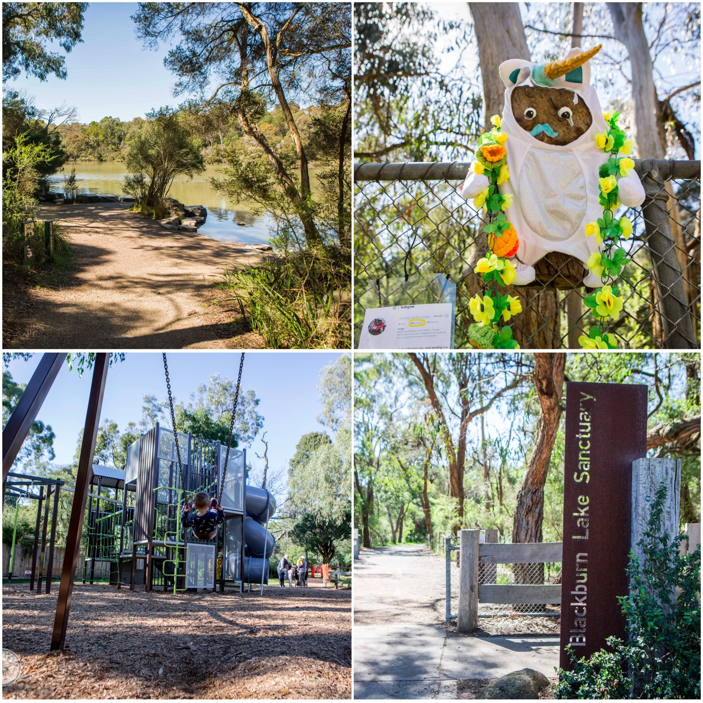 blackburn lake sanctuary, blackburn — mamma knows east
