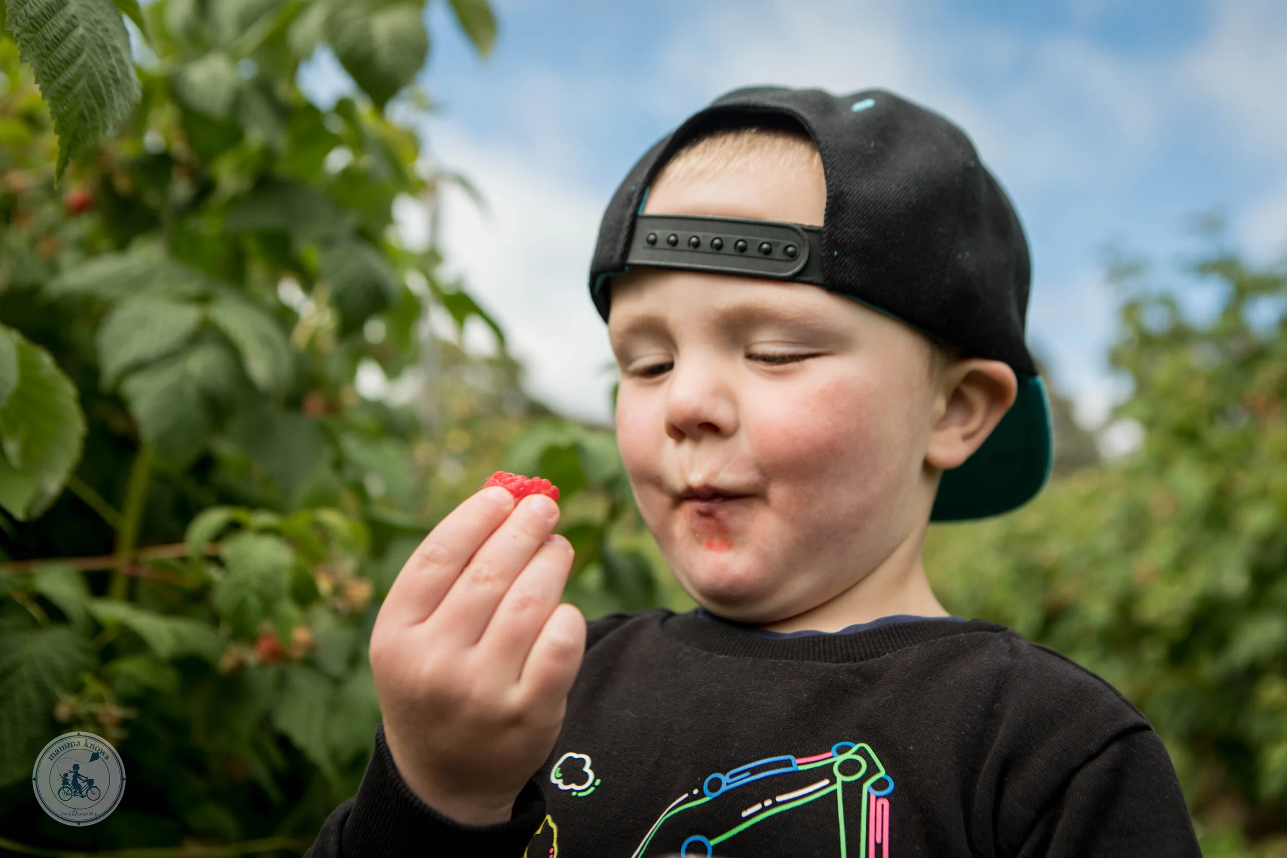 chappies u-pick, silvan — mamma knows east