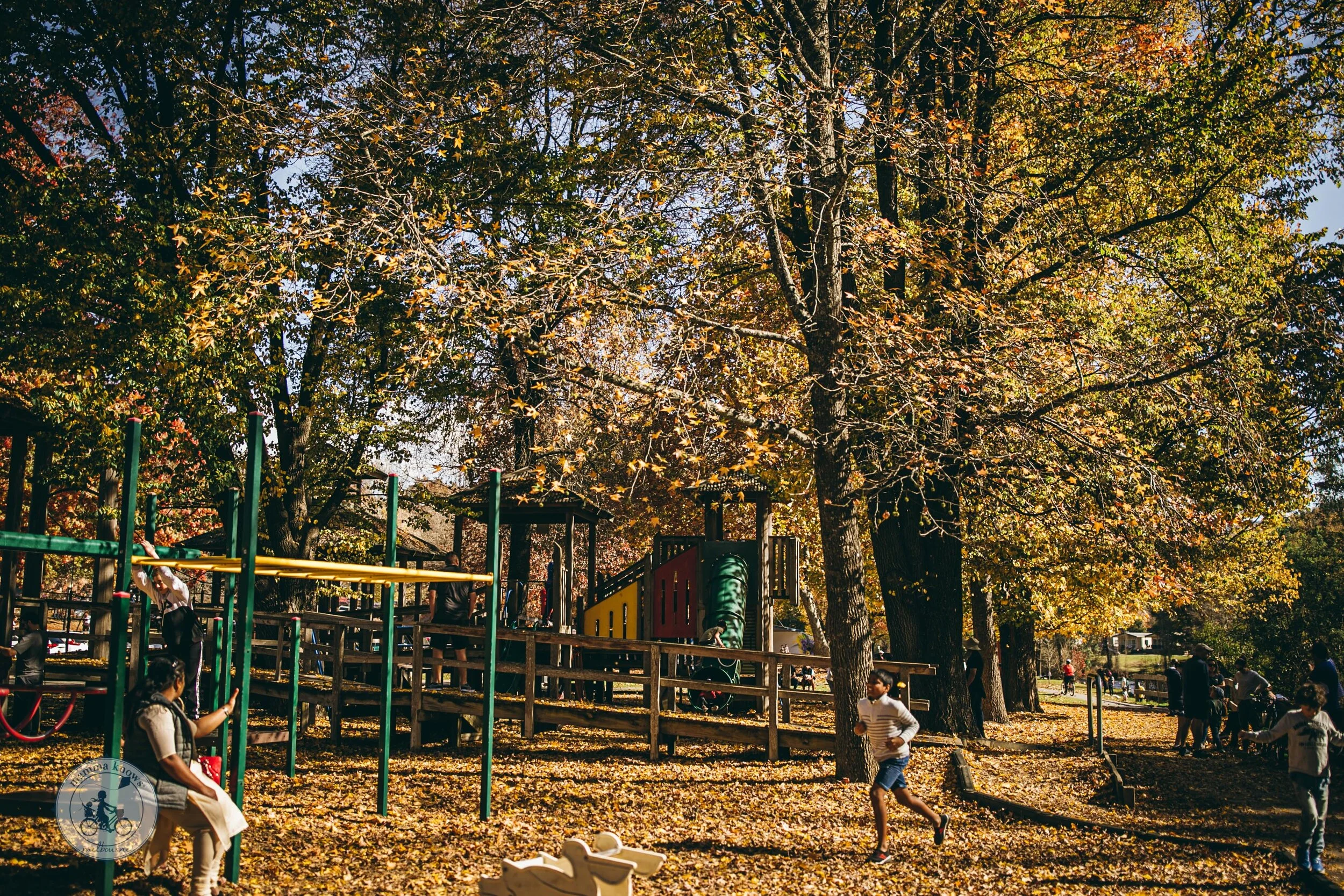 Howitt Park Playground - Centenary Park, Bright — mamma knows east
