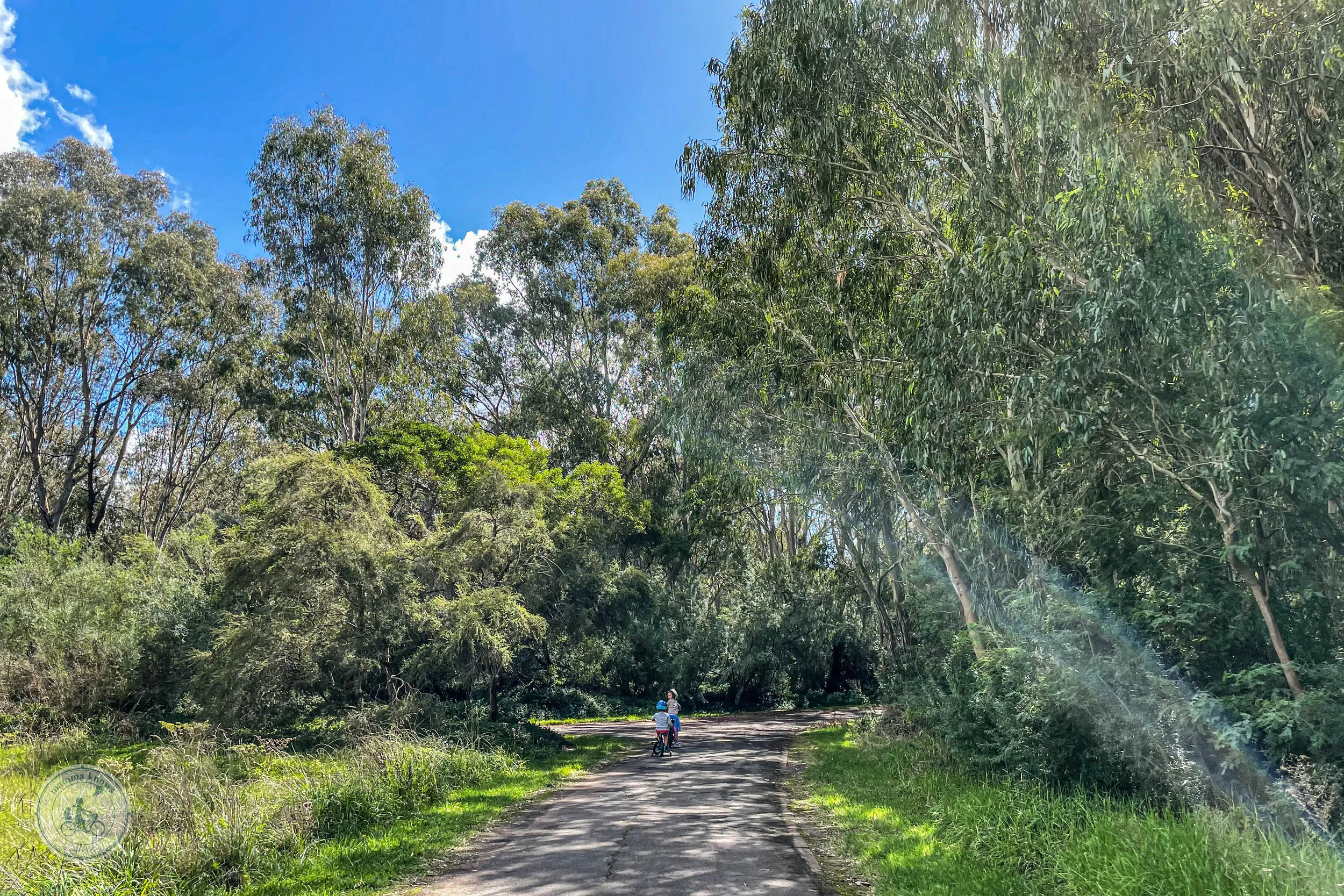 Birrarrung Park Playground, Bulleen — mamma knows east