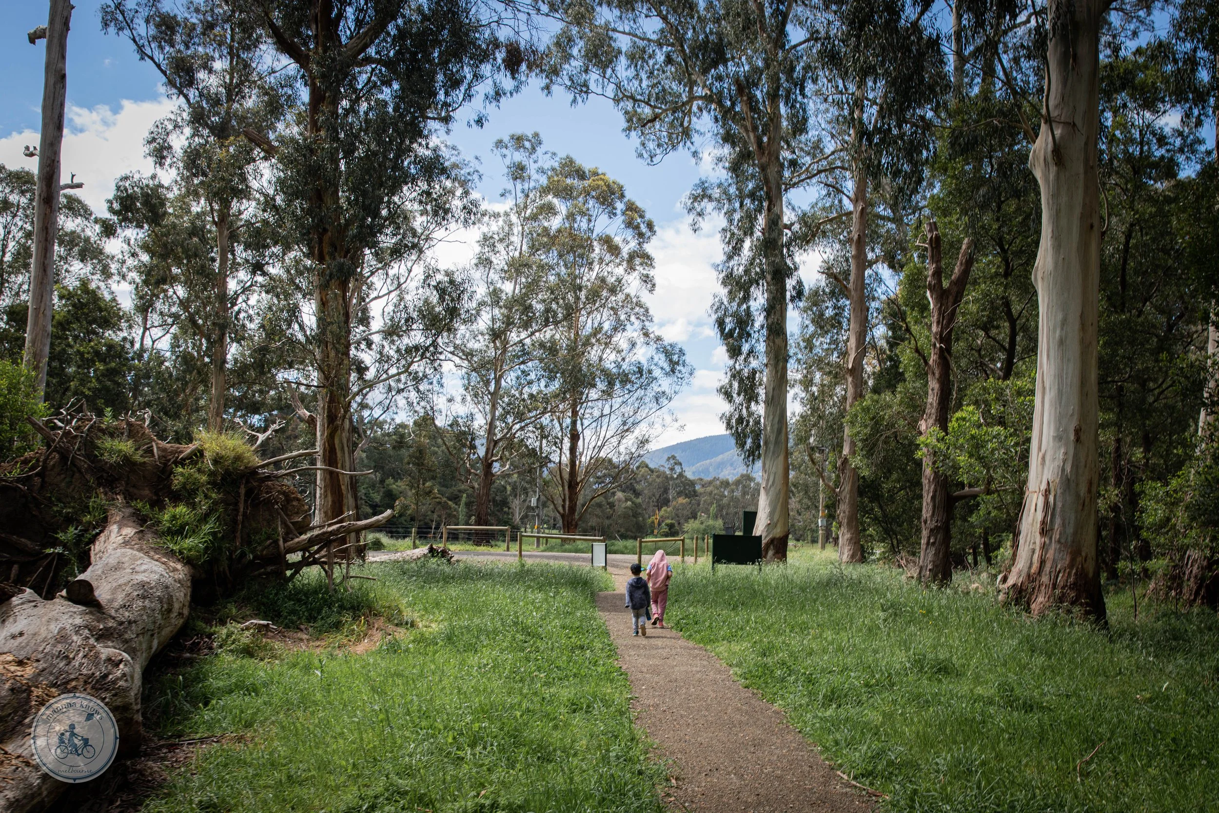 Haining Park Farm, Don Valley — mamma knows east