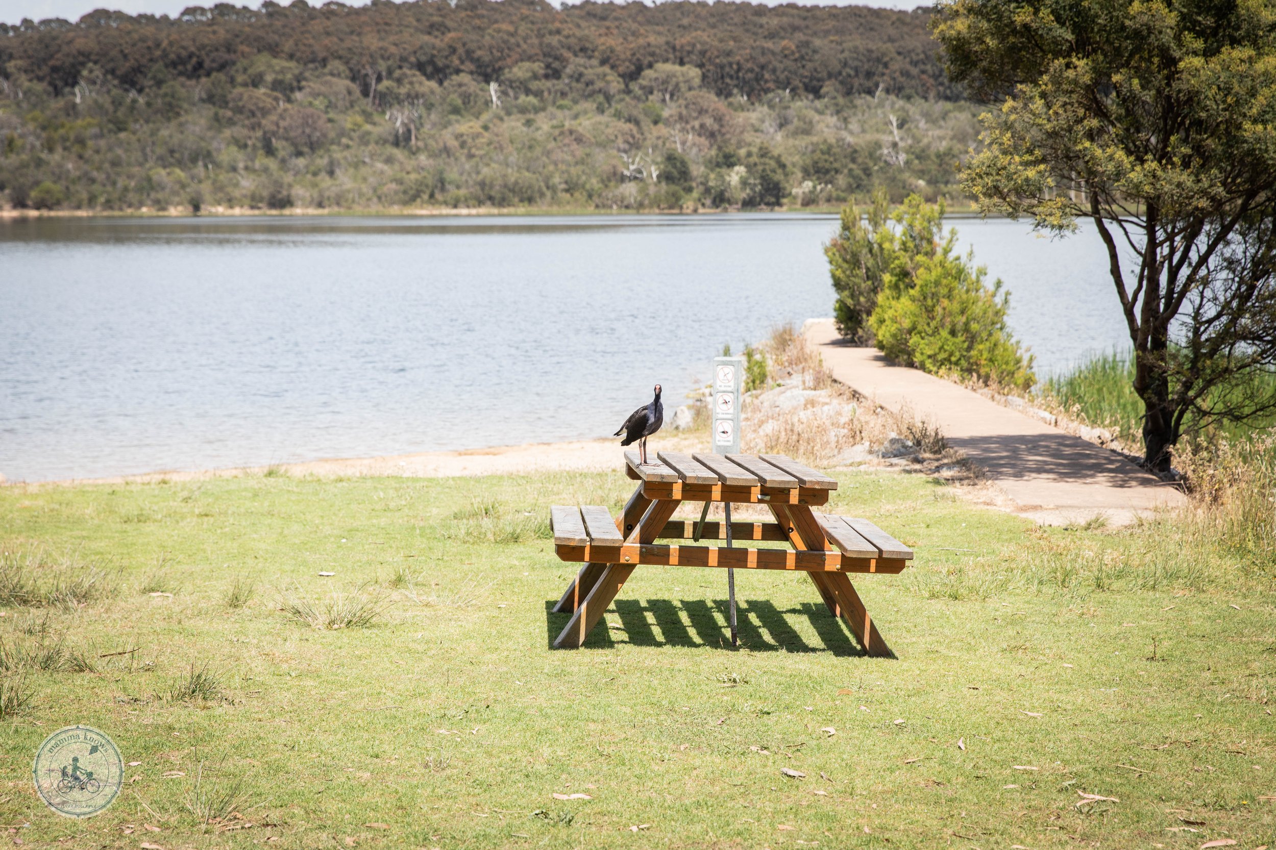 lysterfield lake, lysterfield — mamma knows east
