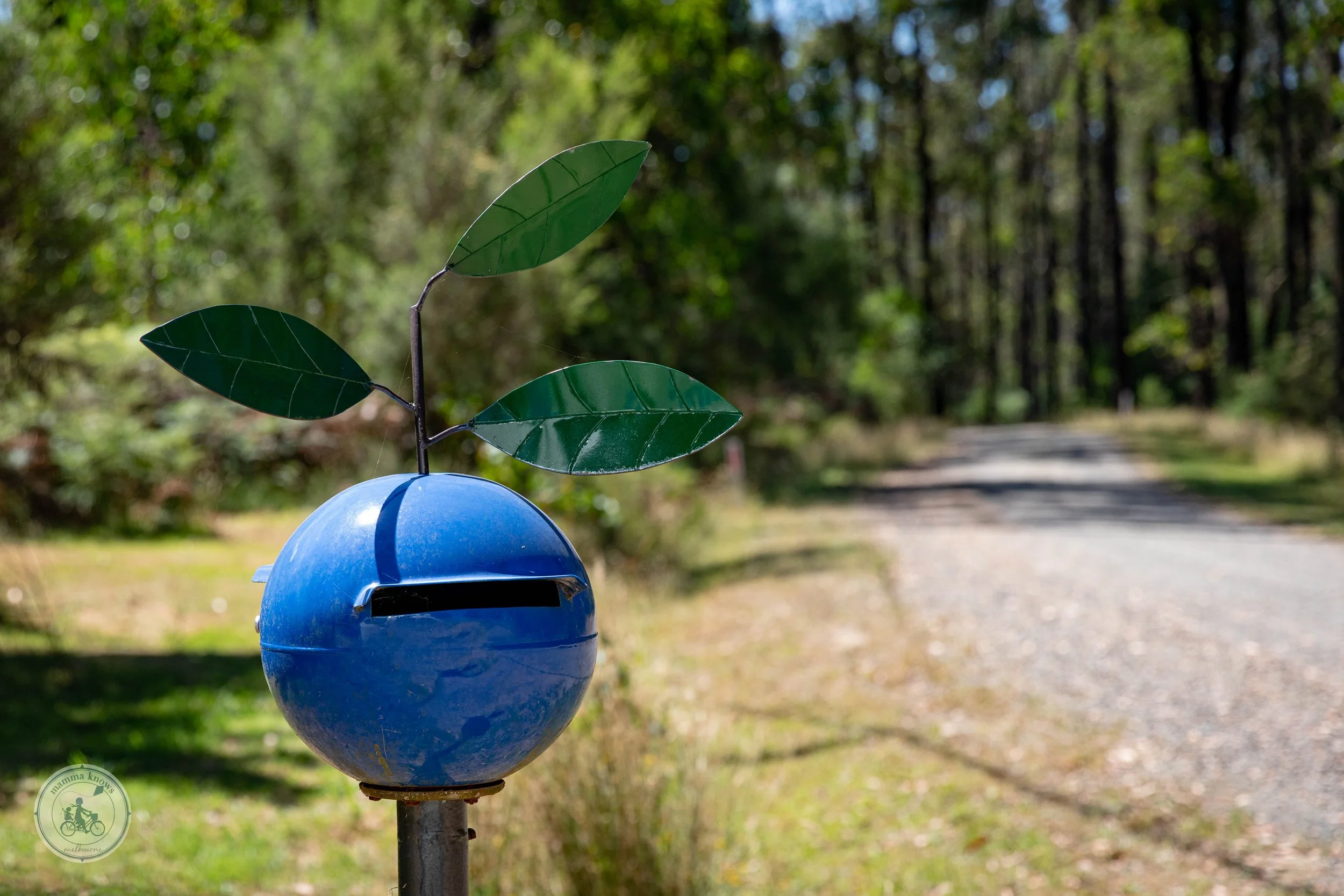 castella blueberries, castella — mamma knows east