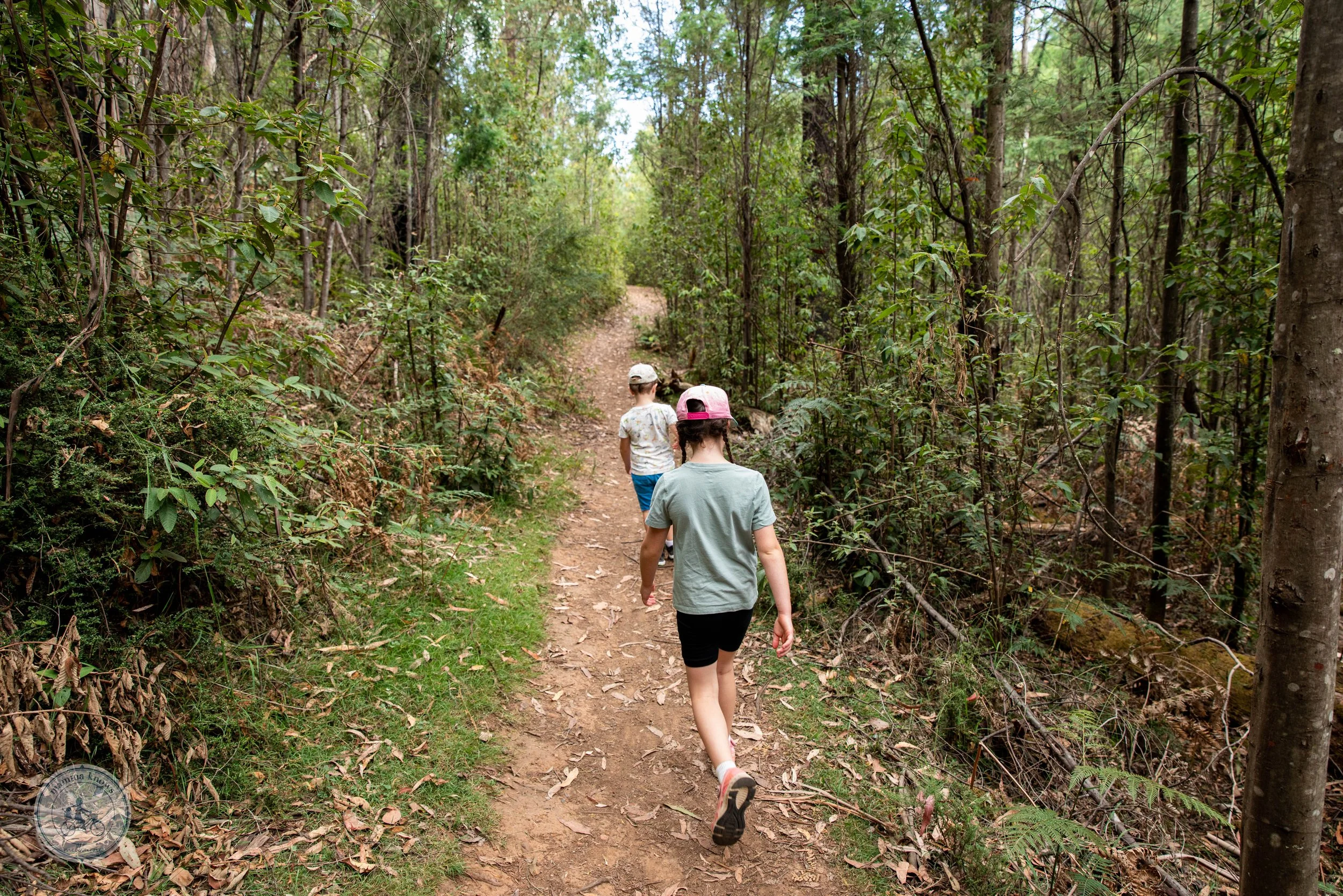 murrindindi scenic reserve and wilhelmina falls, murrundundi — mamma ...