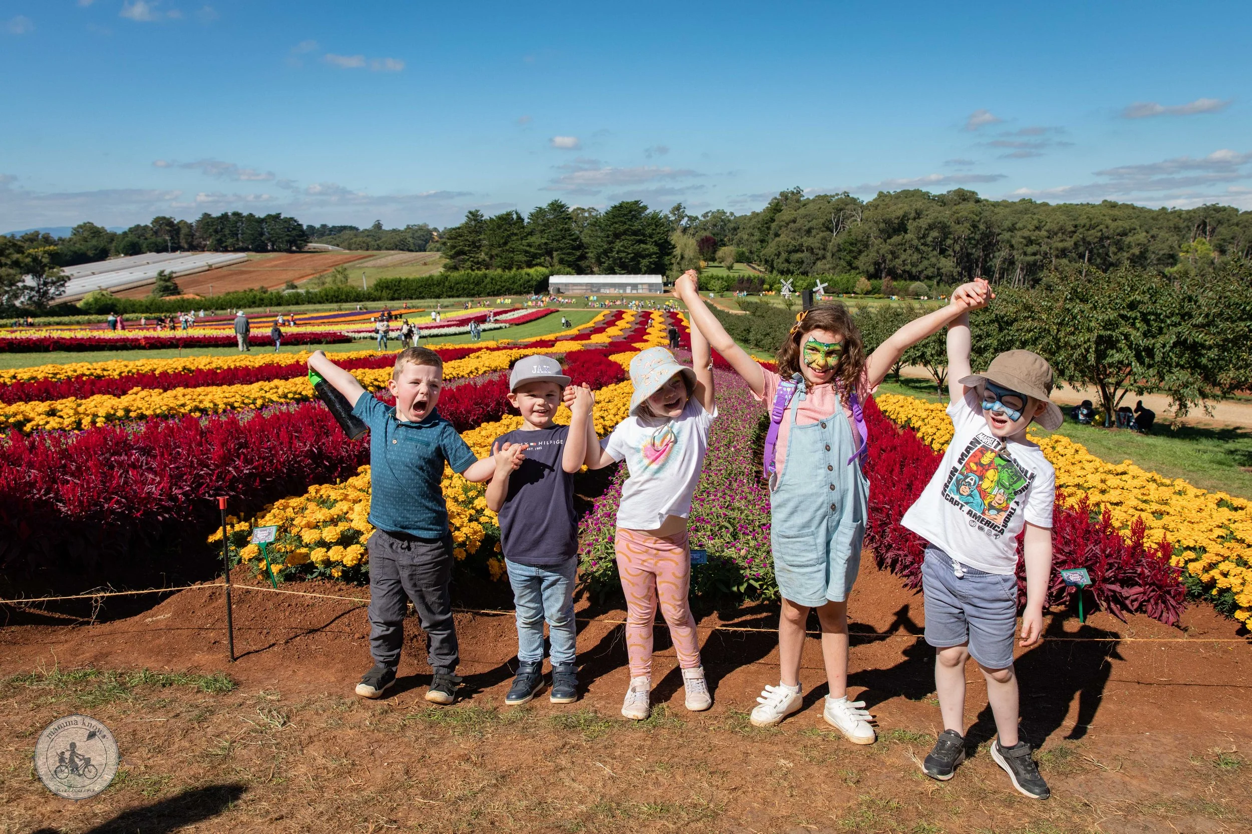 Tesselaar's Kabloom - Festival of Flowers, Silvan — mamma knows east