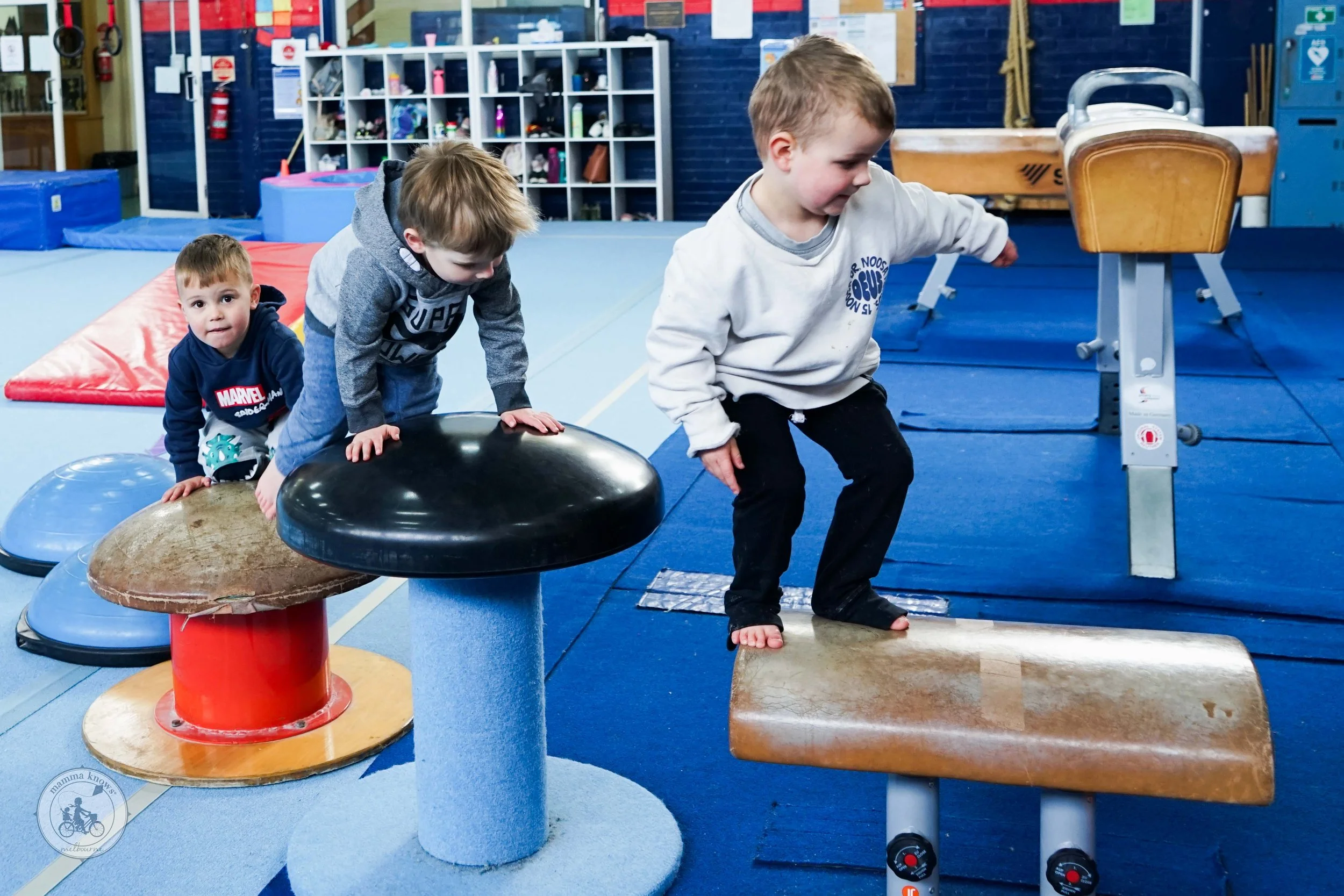 Kinder Gym @ Knox Gymnastics, Ferntree Gully — mamma knows east