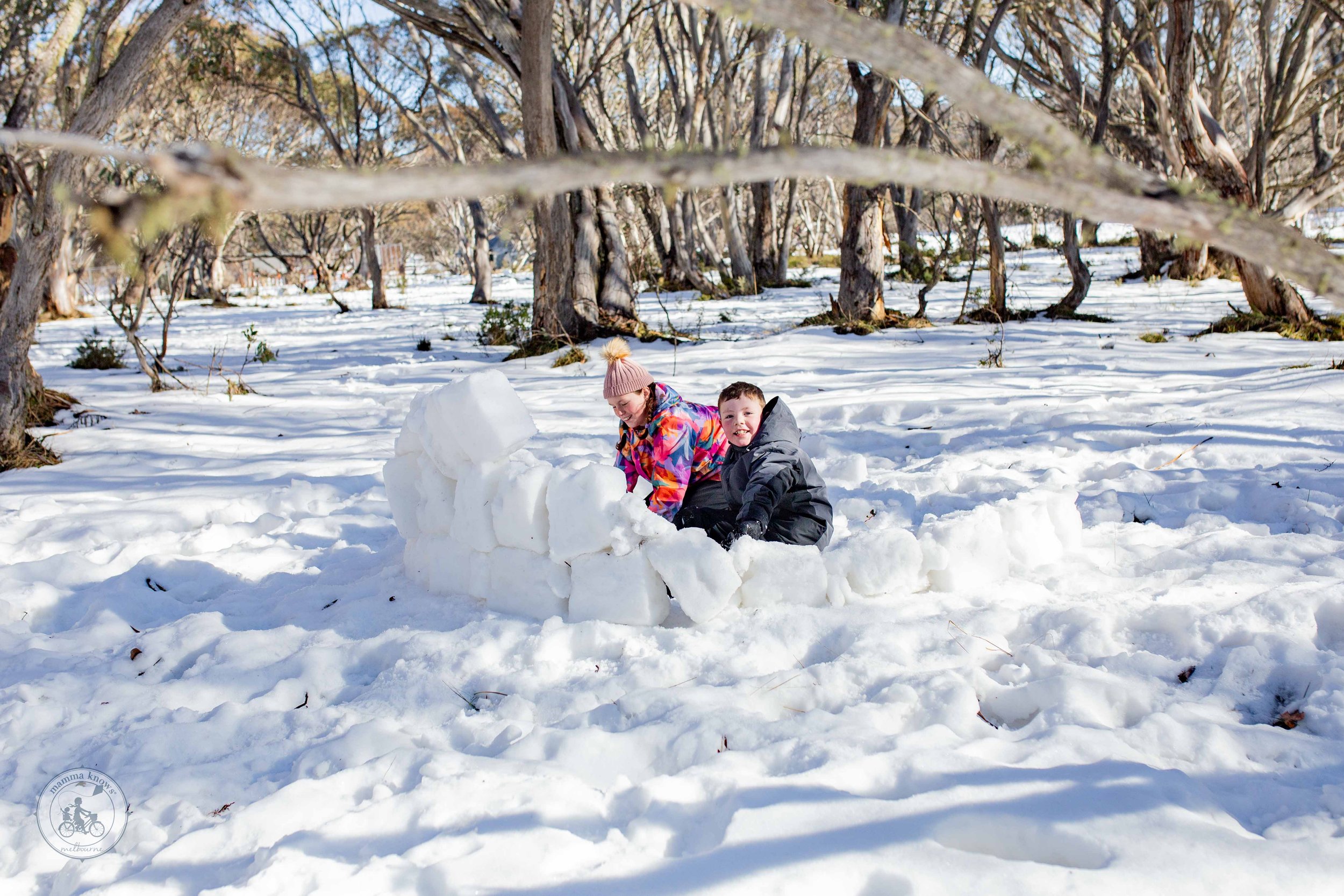 Peashooter Toboggan Slope - Snow Factory @ Dinner Plain — mamma knows east