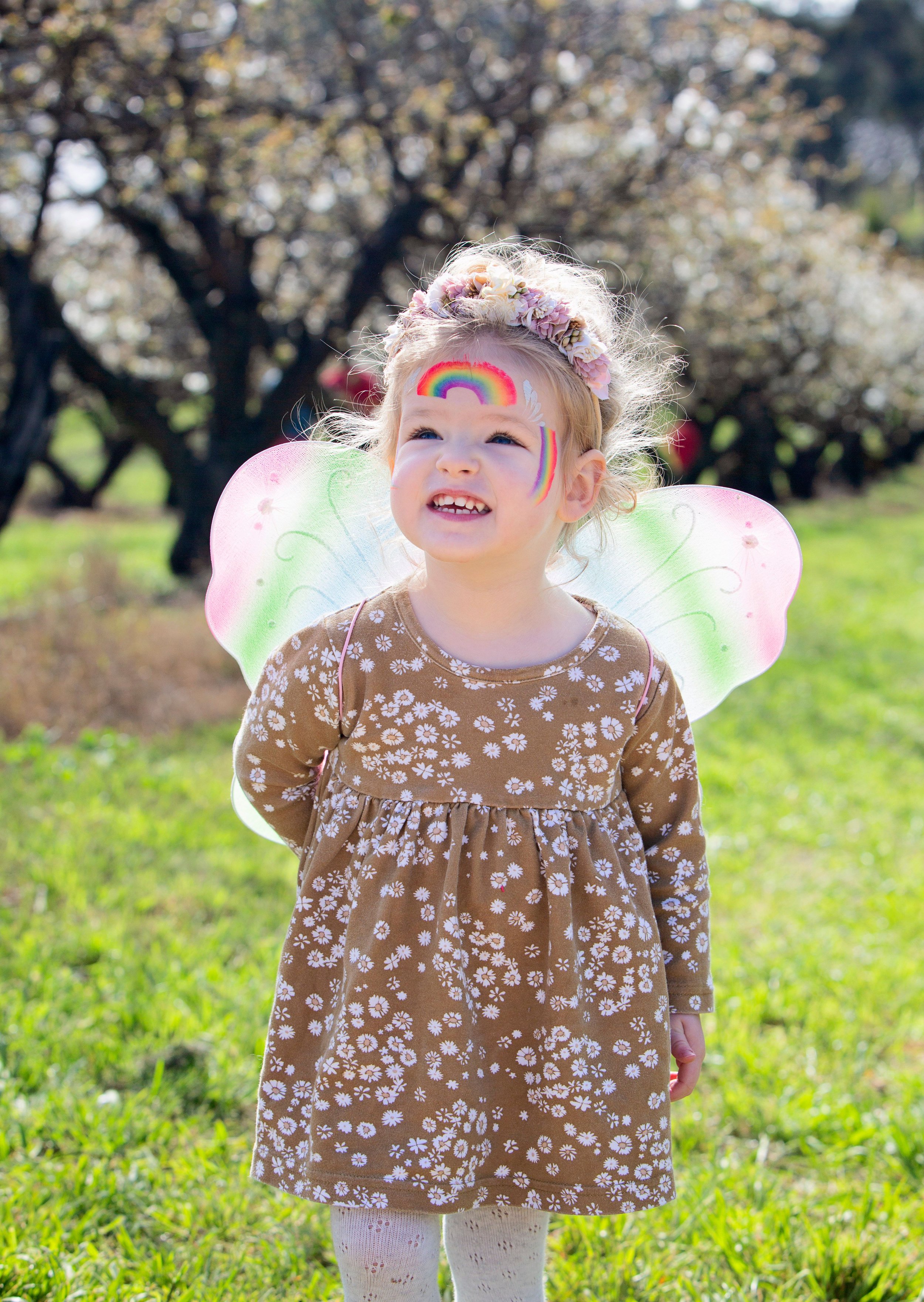 Blue Hills Cherry Blossom Show — mamma knows east
