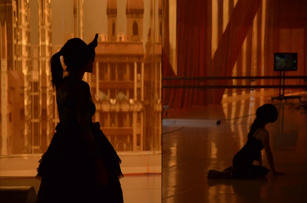 An intimate togetherness: Angela Goh and Su Yu Hsin’s ‘Paeonia Drive’ — Art Monthly Australasia