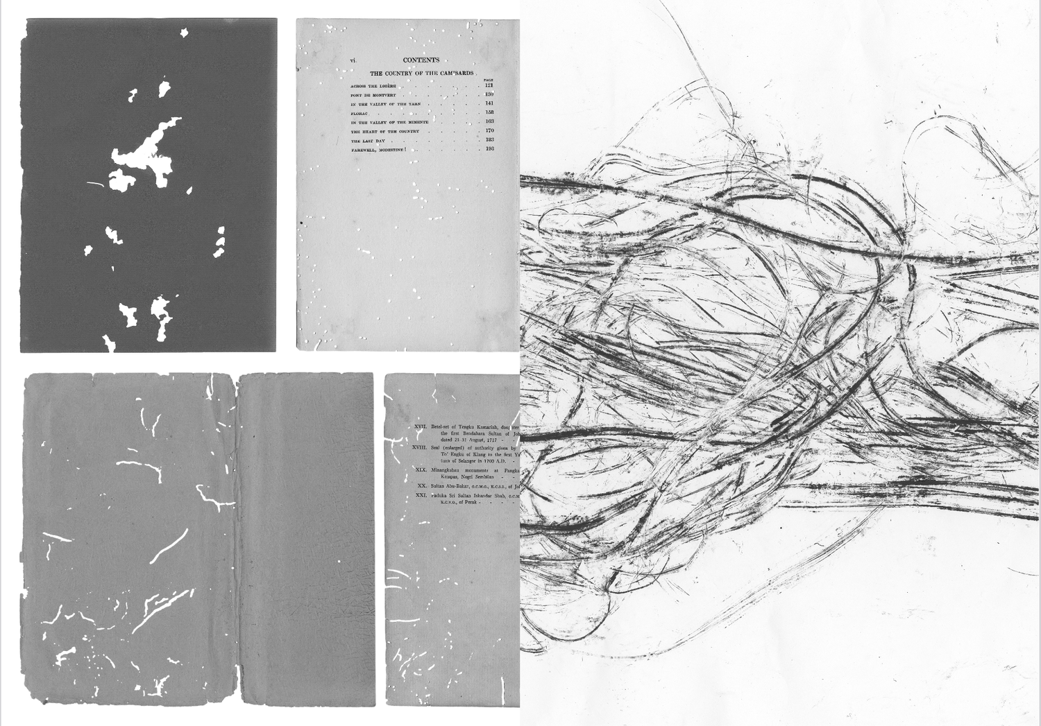 Filling a cup in a river / working in the open: Lachlan Thompson in ...