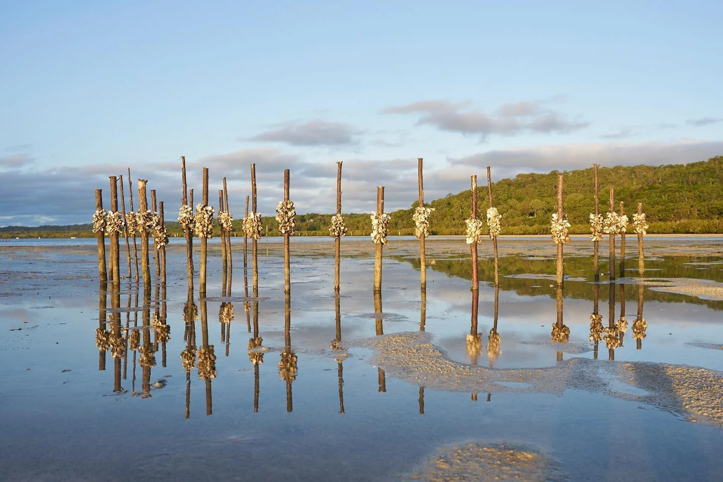 Anxiety and allure in the work of Barbara Dover and Robyn Glade-Wright ...