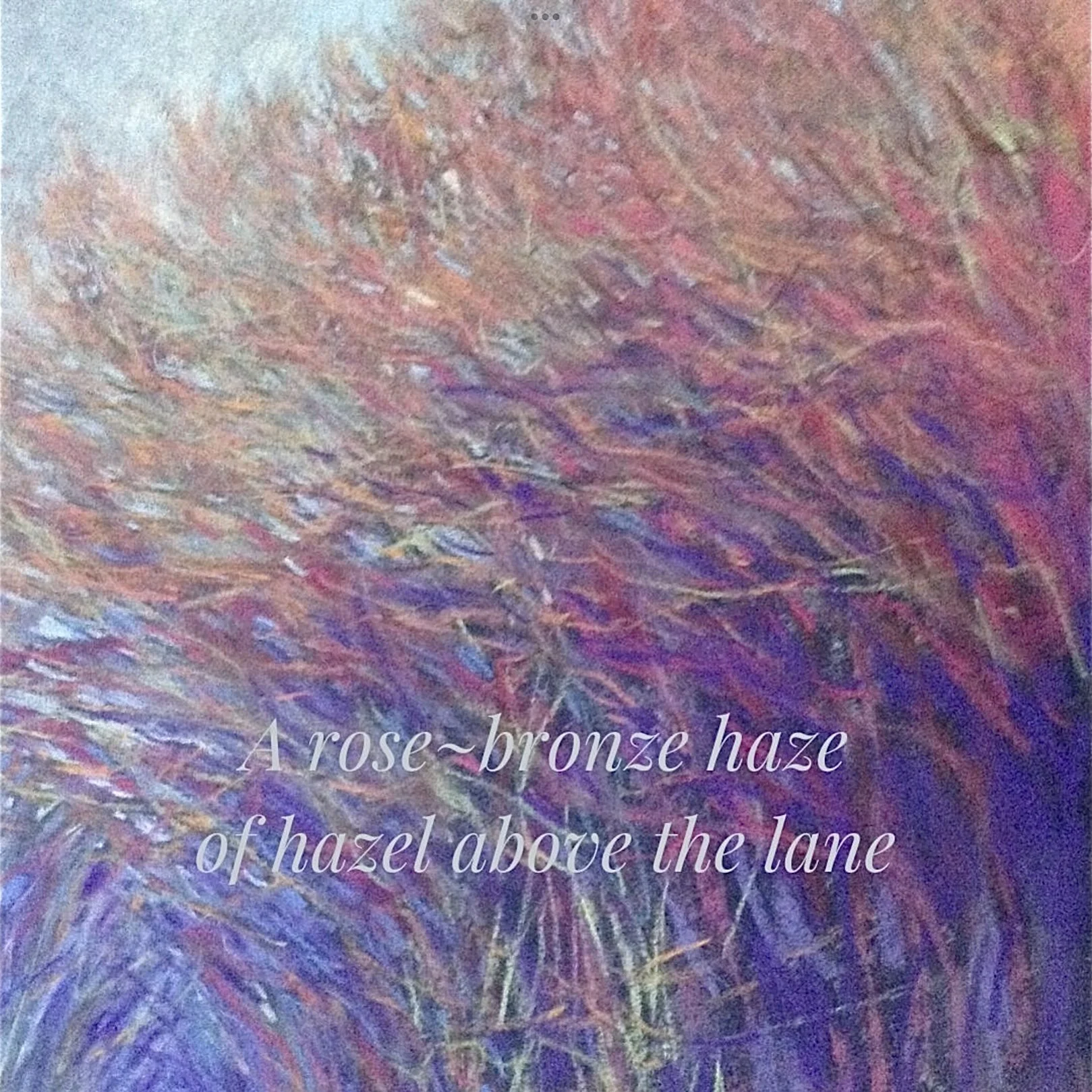 Artist — Janine Elizabeth