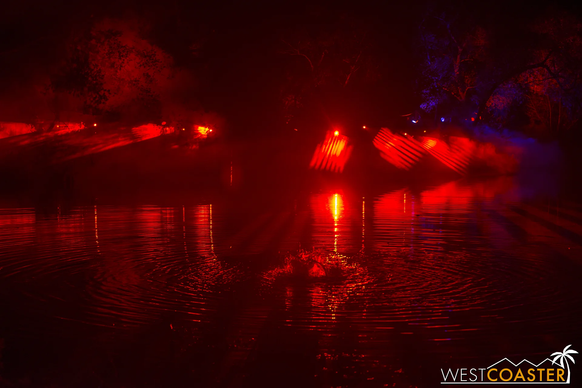 Descanso Gardens' Enchanted: Forest of Light 2017 Review — Westcoaster