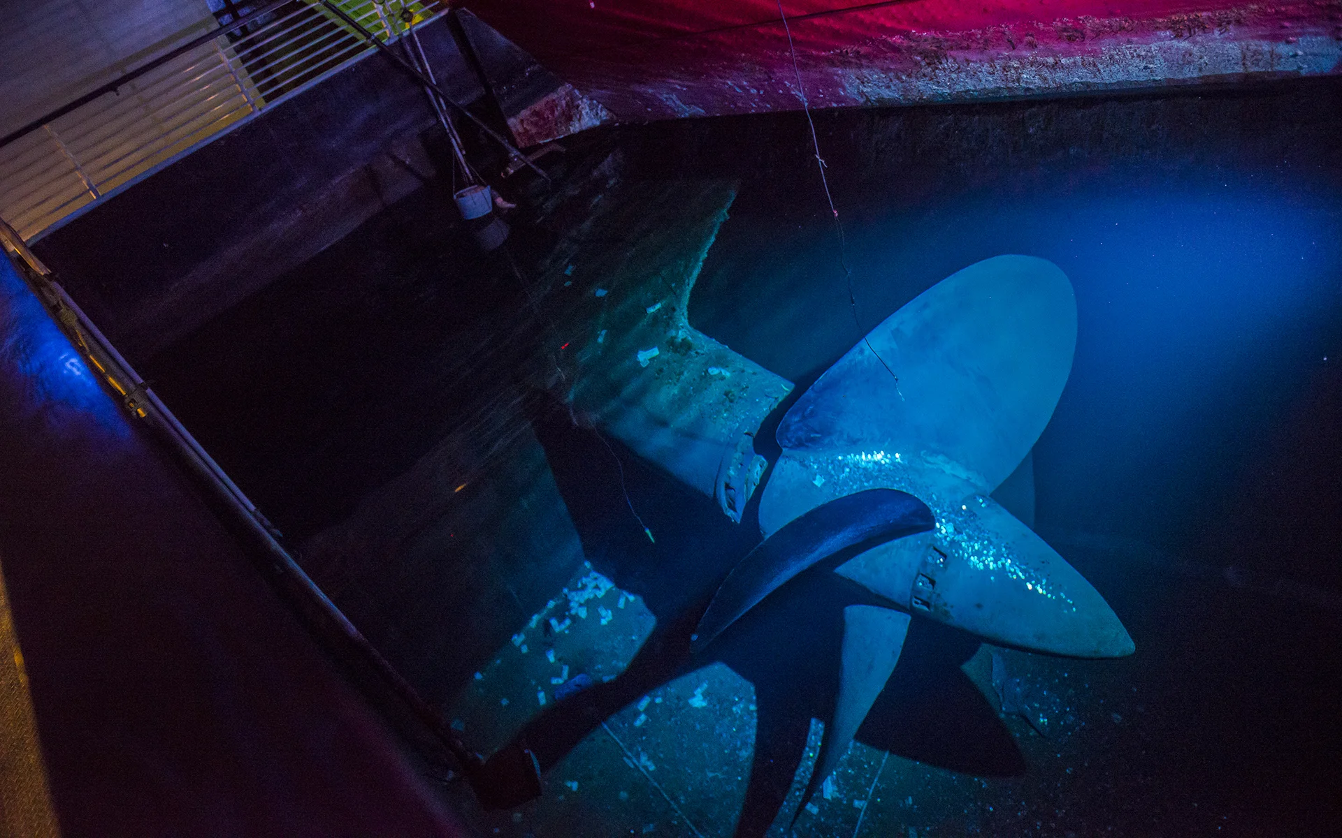 Queen Mary's Experience Stateroom B340 Media Night — Restcoaster