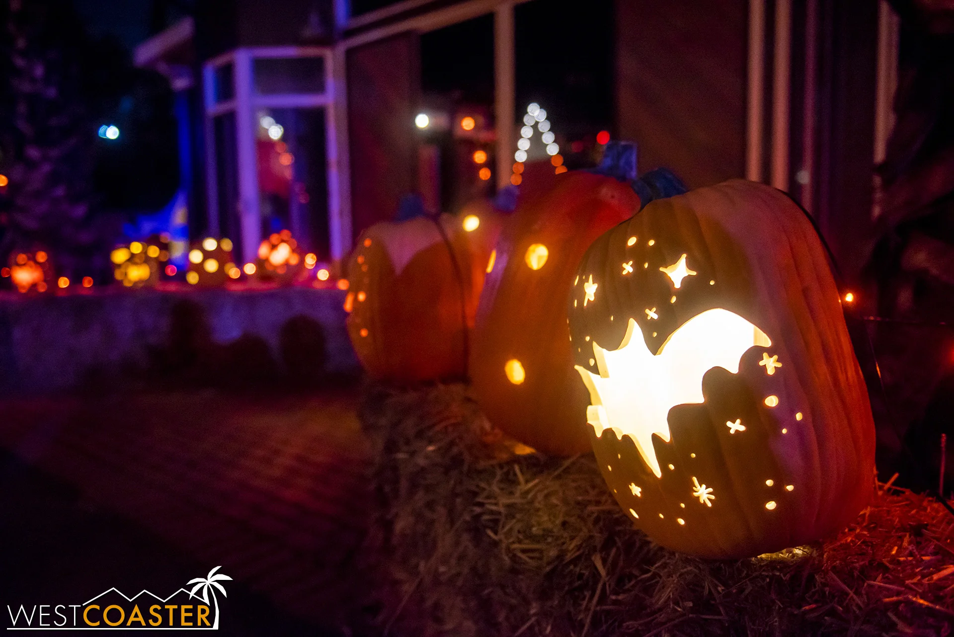 Pumpkin Nights: 2018 Recap — Westcoaster