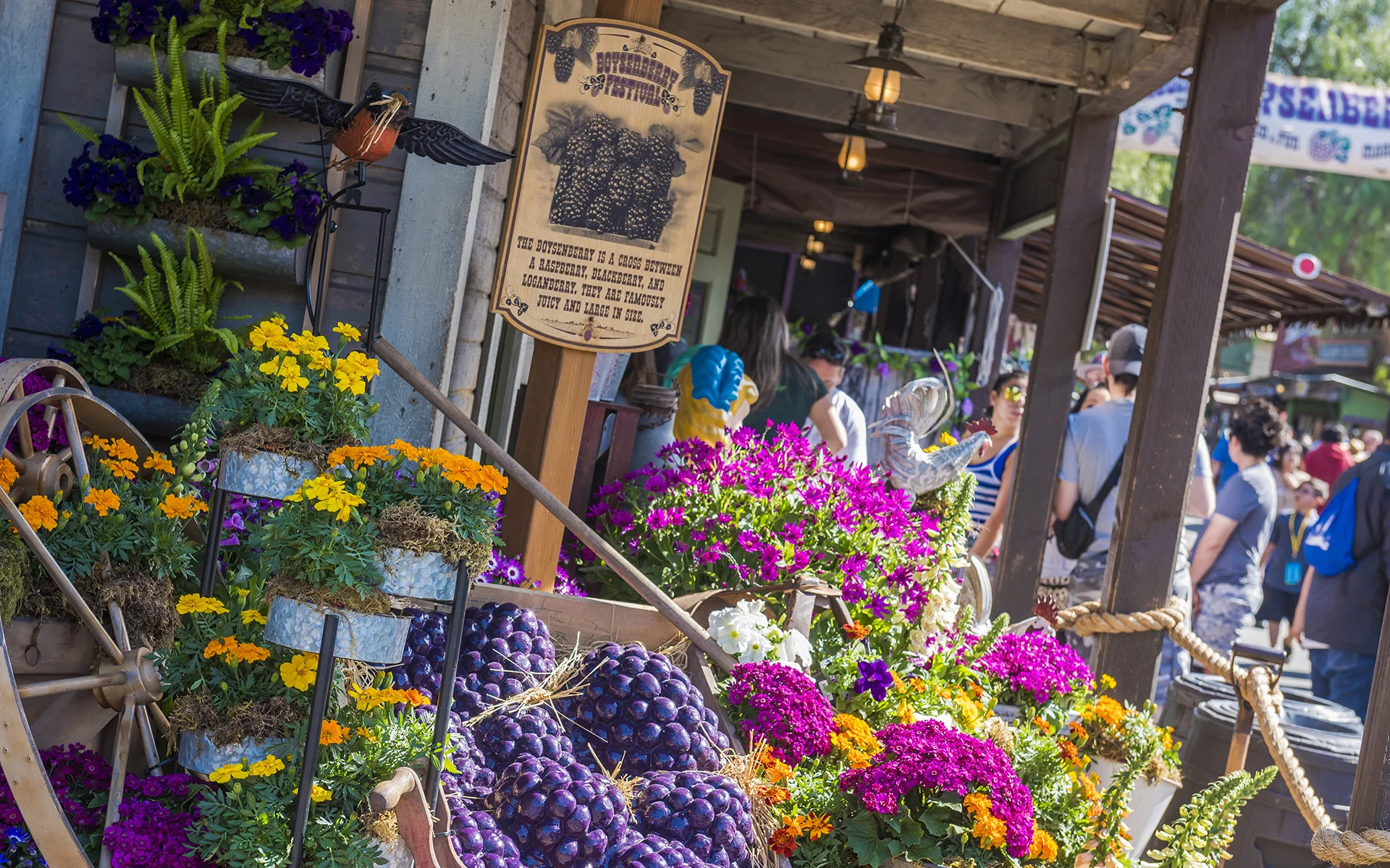 Knott's Boysenberry Festival 2019 — Westcoaster