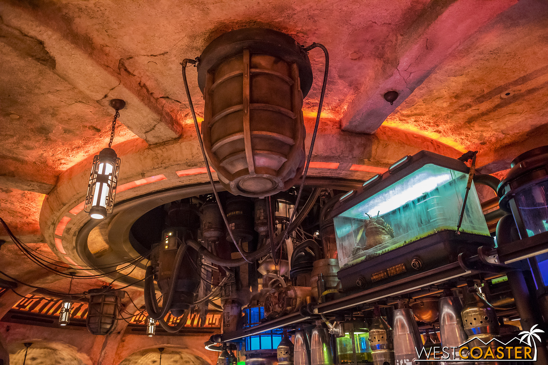 Star Wars: Galaxy's Edge - Foods and Brews — Westcoaster