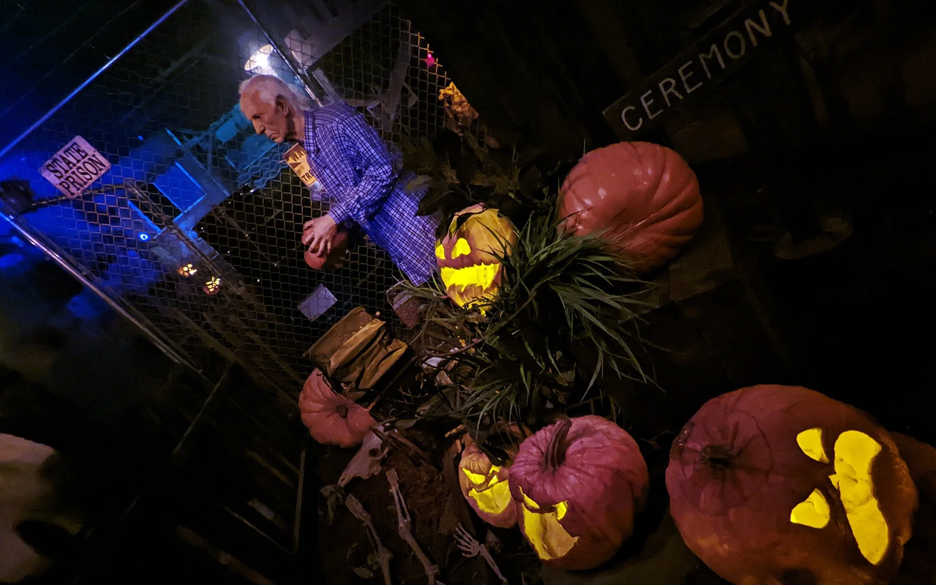 Reign of Terror: 2021 Review — Restcoaster