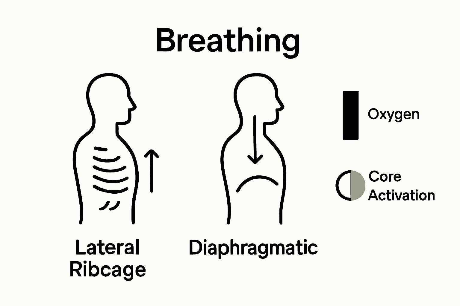 Complete Guide to Breathwork in Pilates Practice — Amrita Yoga & Wellness