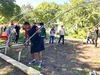 Milwaukee Grows Garden Network — Groundwork Milwaukee