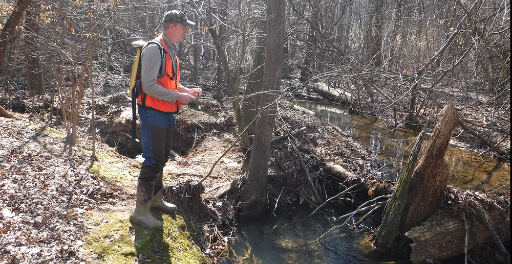 SERVICES — Nelson Environmental, Inc.
