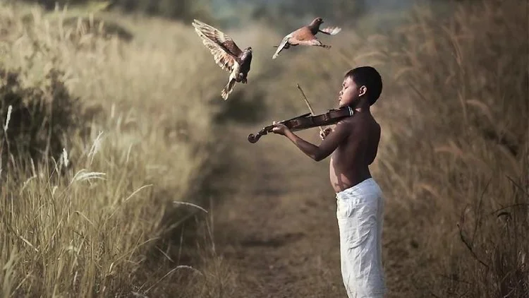 Current Projects — Filmmakers Collaborative SF