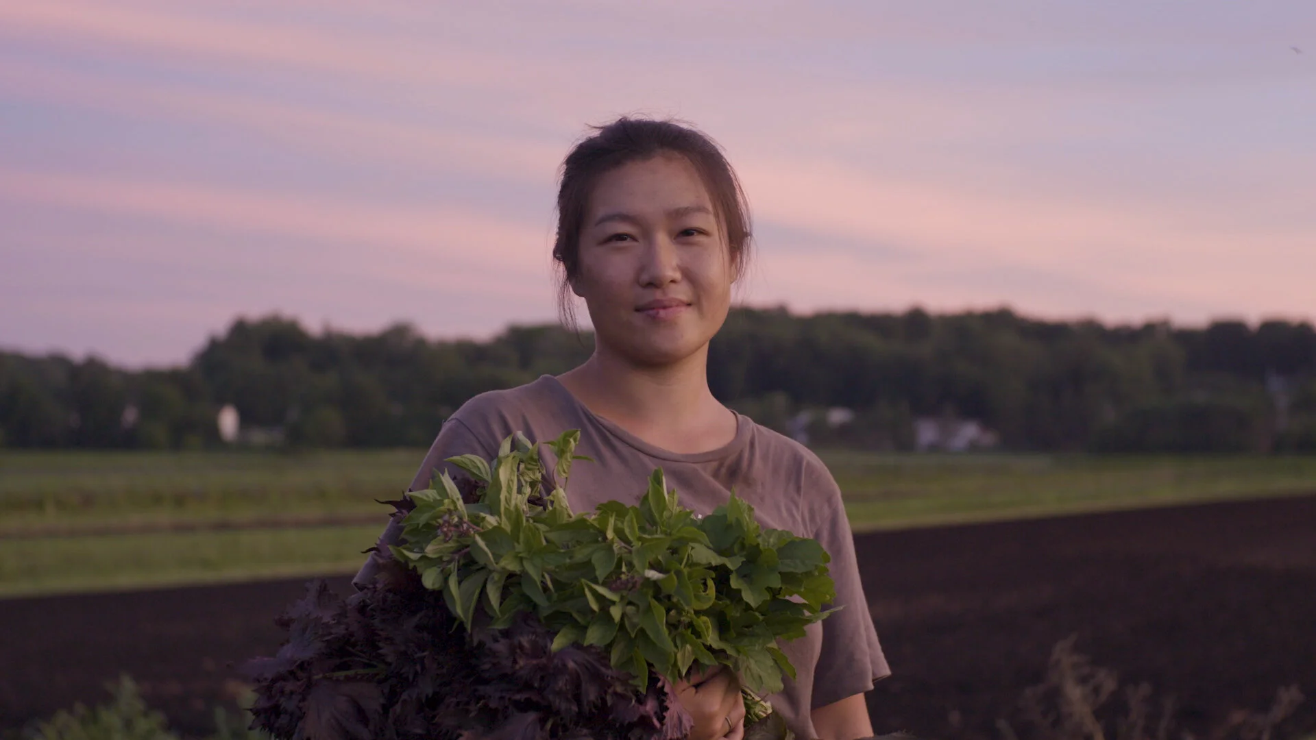 Current Projects — Filmmakers Collaborative SF