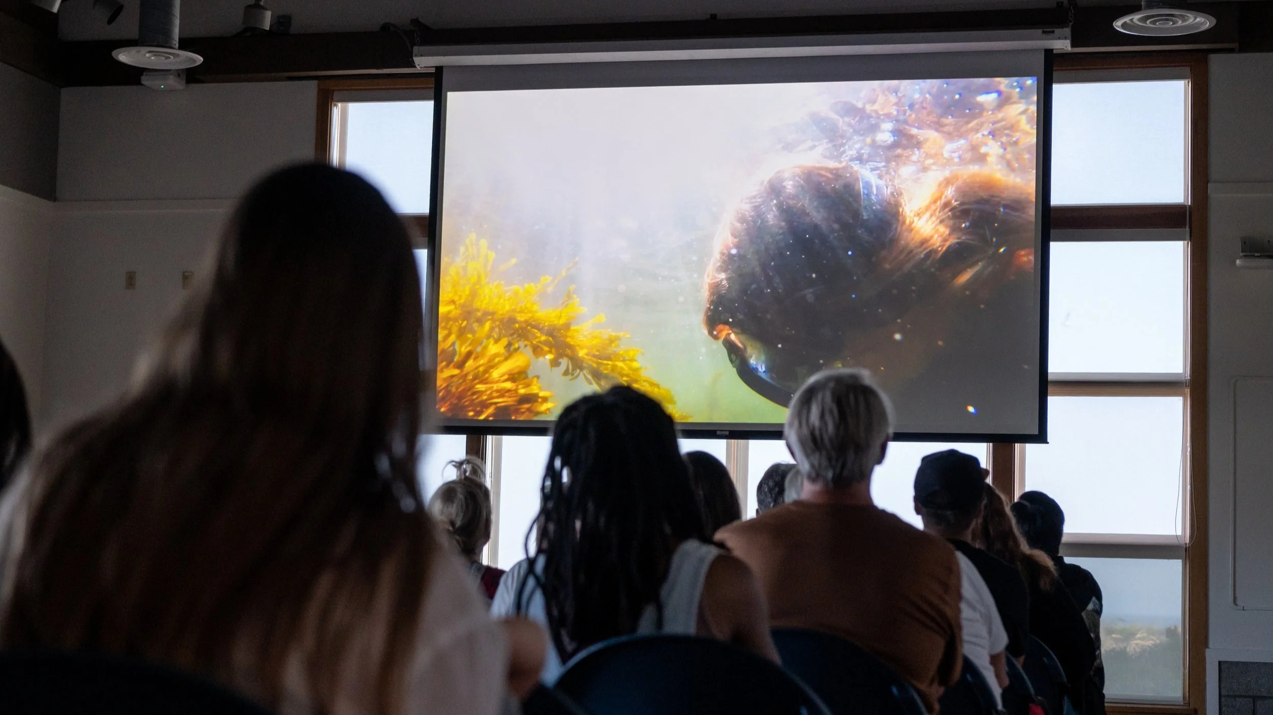 Filmmakers Collaborative SF