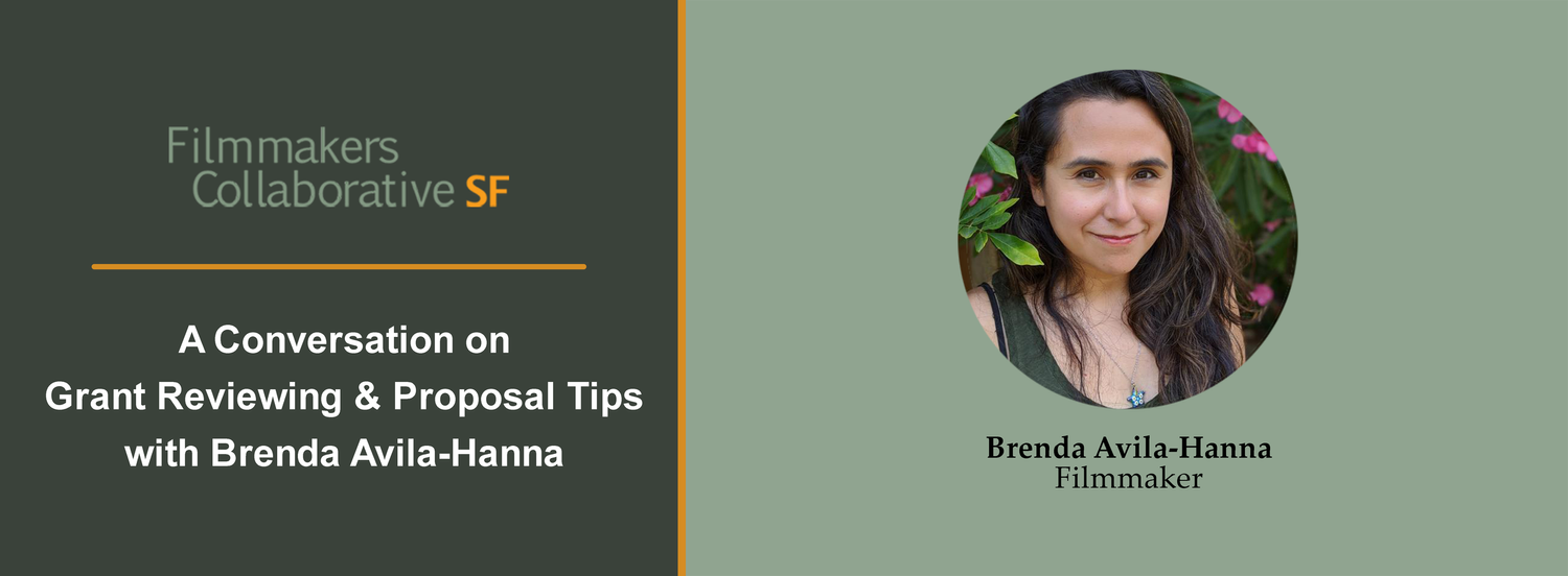 A Conversation on Grant Reviewing and Proposal Tips with Brenda Avila ...