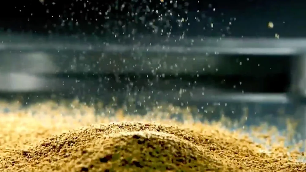 The Emerald Triangle — Filmmakers Collaborative SF