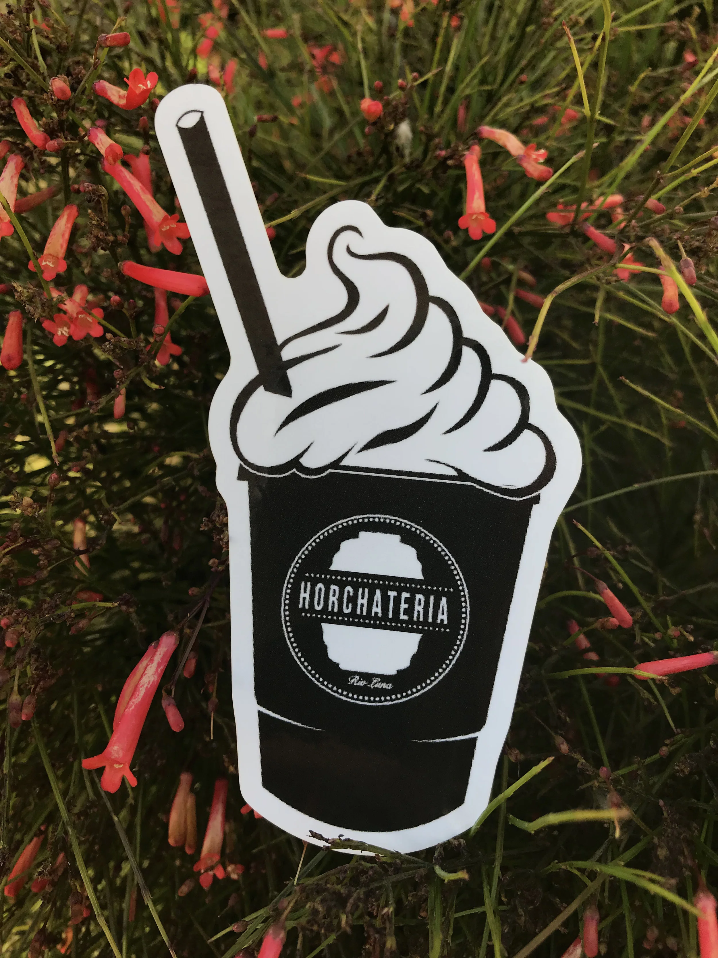 SHOP ALL — Horchateria Rio Luna