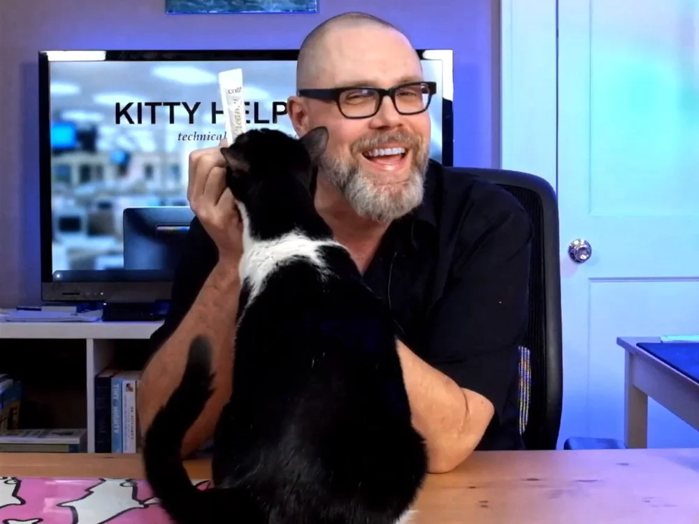 Certified Cat Behaviorist - Get Help Today