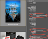 Adding Metadata to Your Images — Heard Nature Photographers
