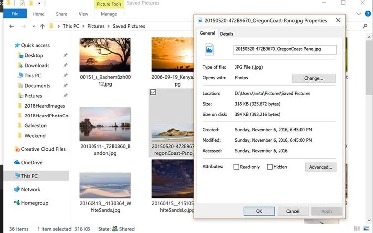 Adding Metadata to Your Images — Heard Nature Photographers