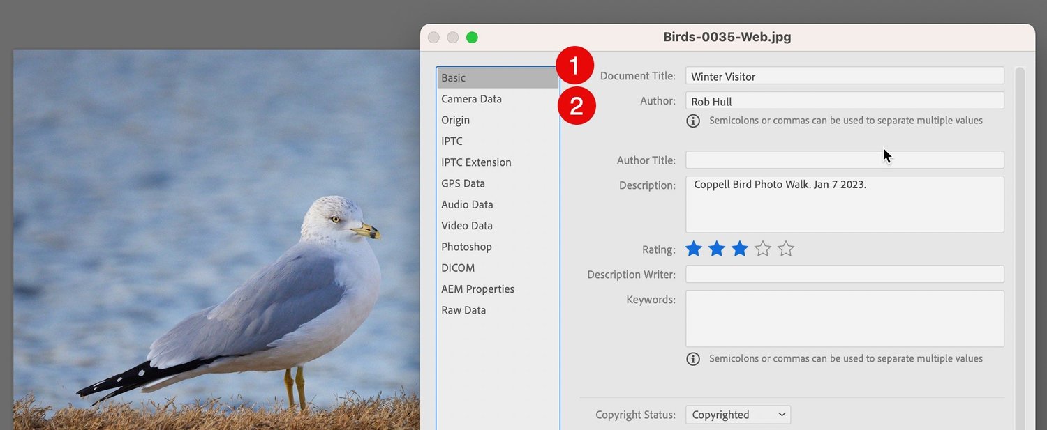 Adding Name and Title to Your Image — Heard Nature Photographers