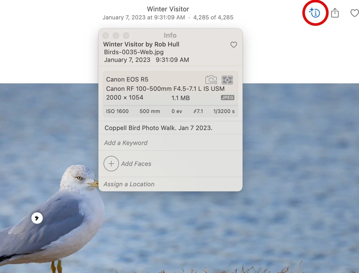 Adding Name and Title to Your Image — Heard Nature Photographers