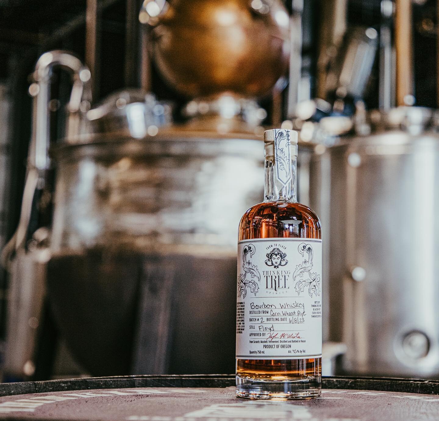 Thinking Tree Spirits