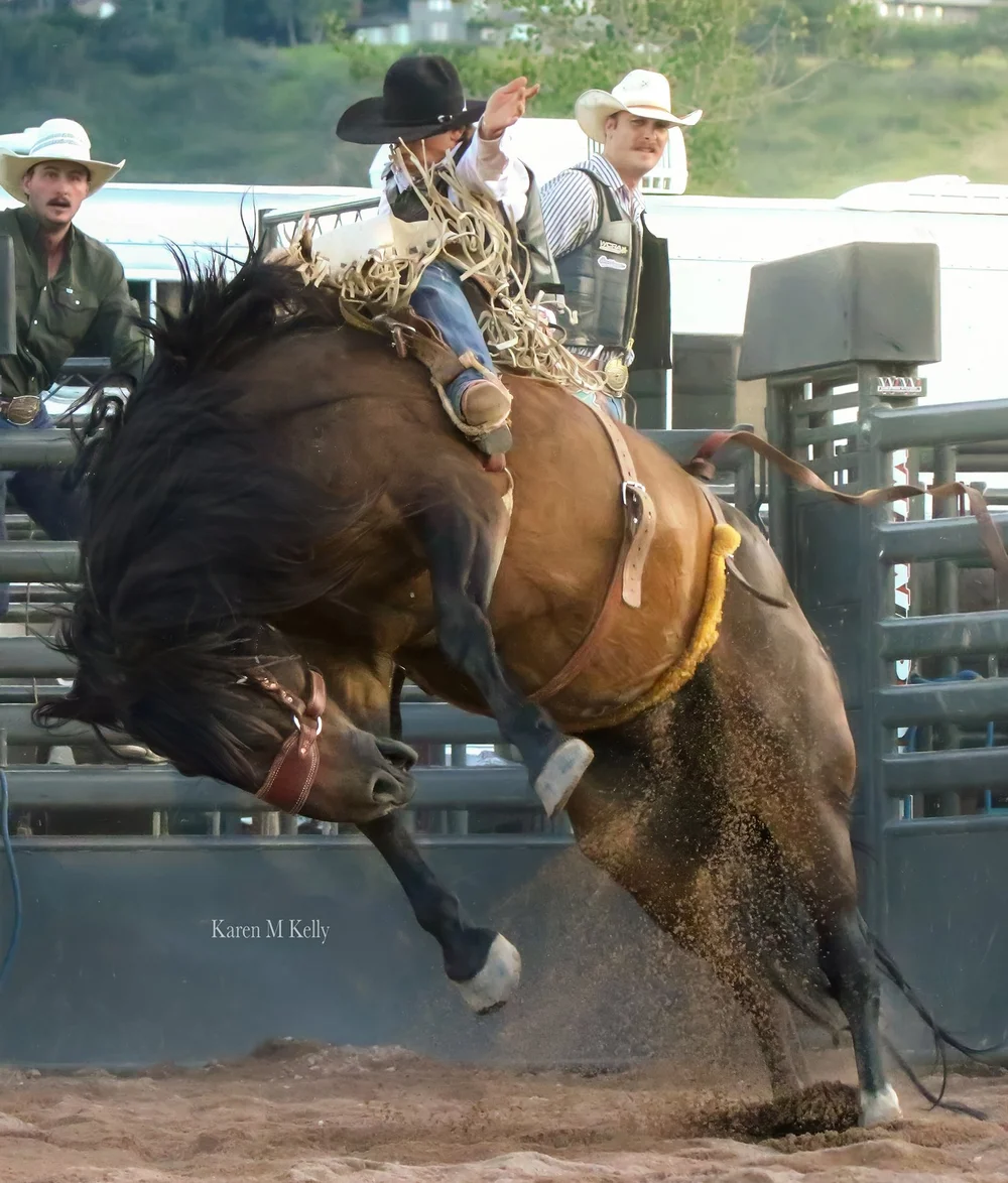 Events — Snowmass Rodeo