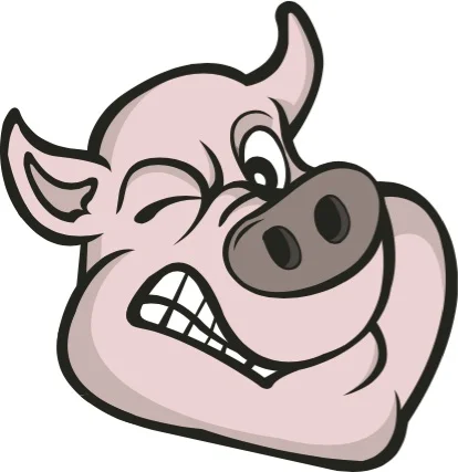 Angry Pig Face