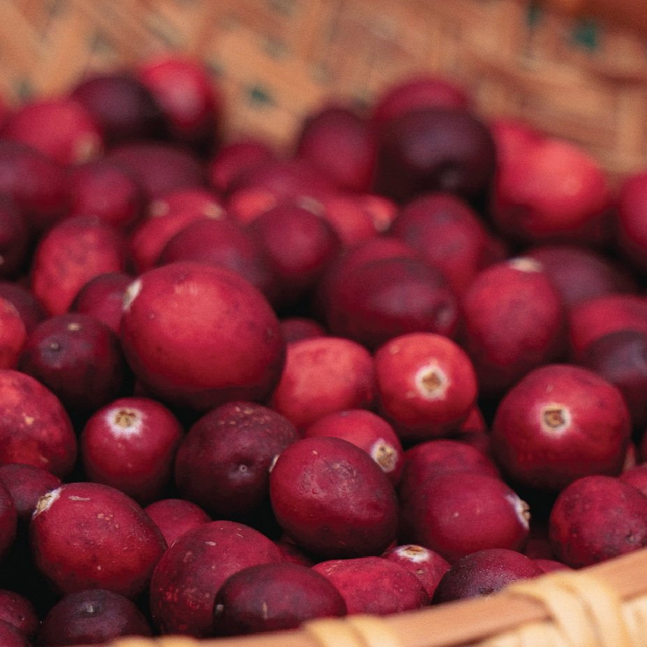 Events — BrynTeg Farm