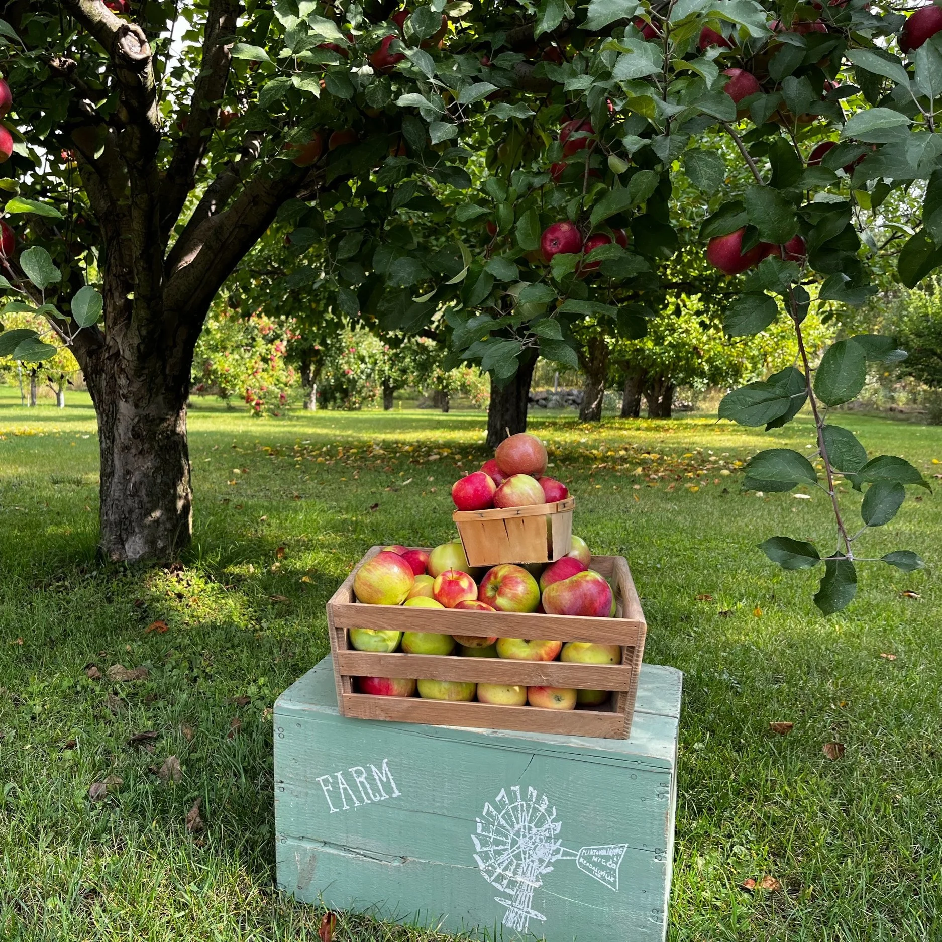 Events — BrynTeg Farm