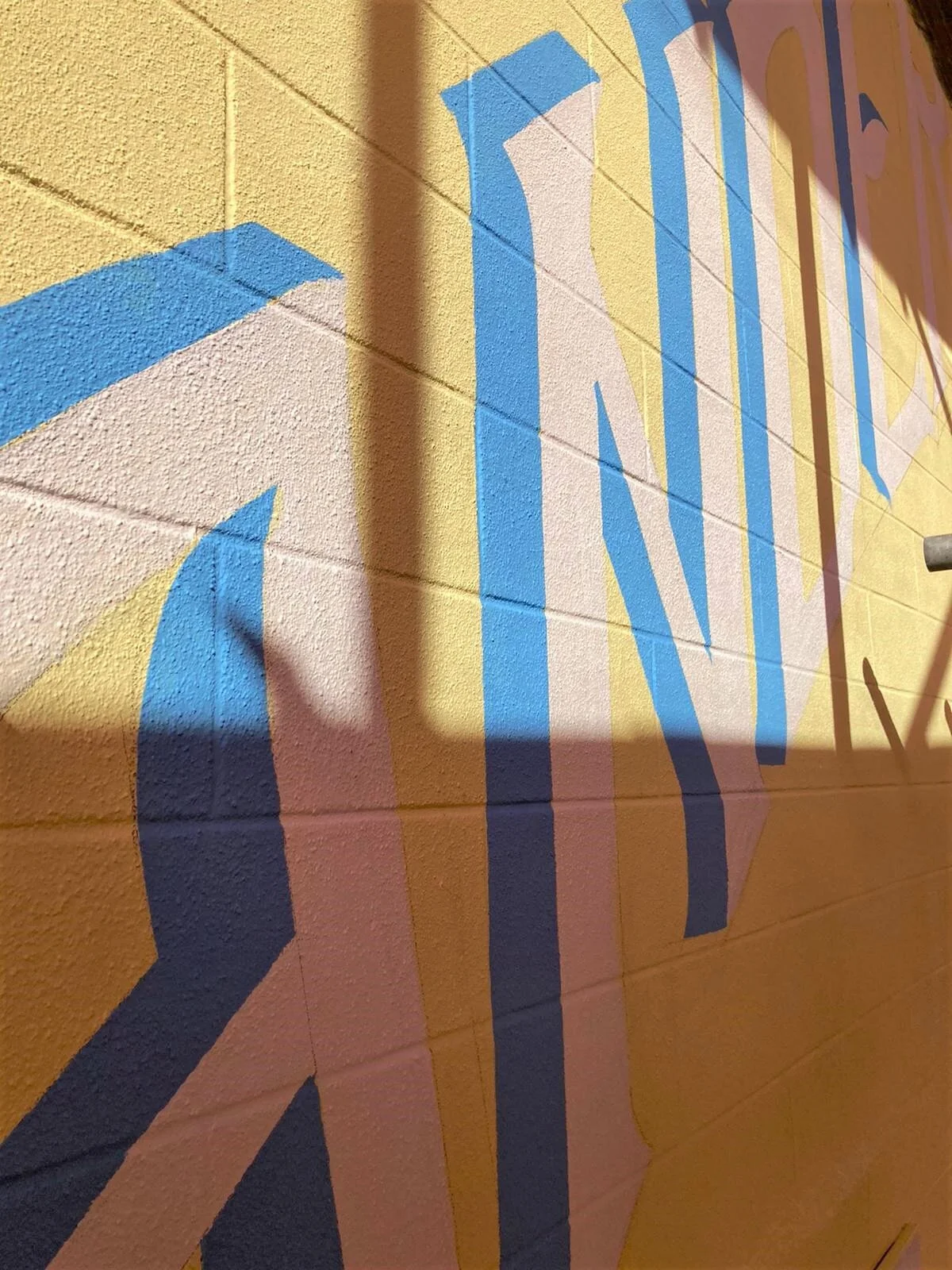 Settle Mural — Deco Publique