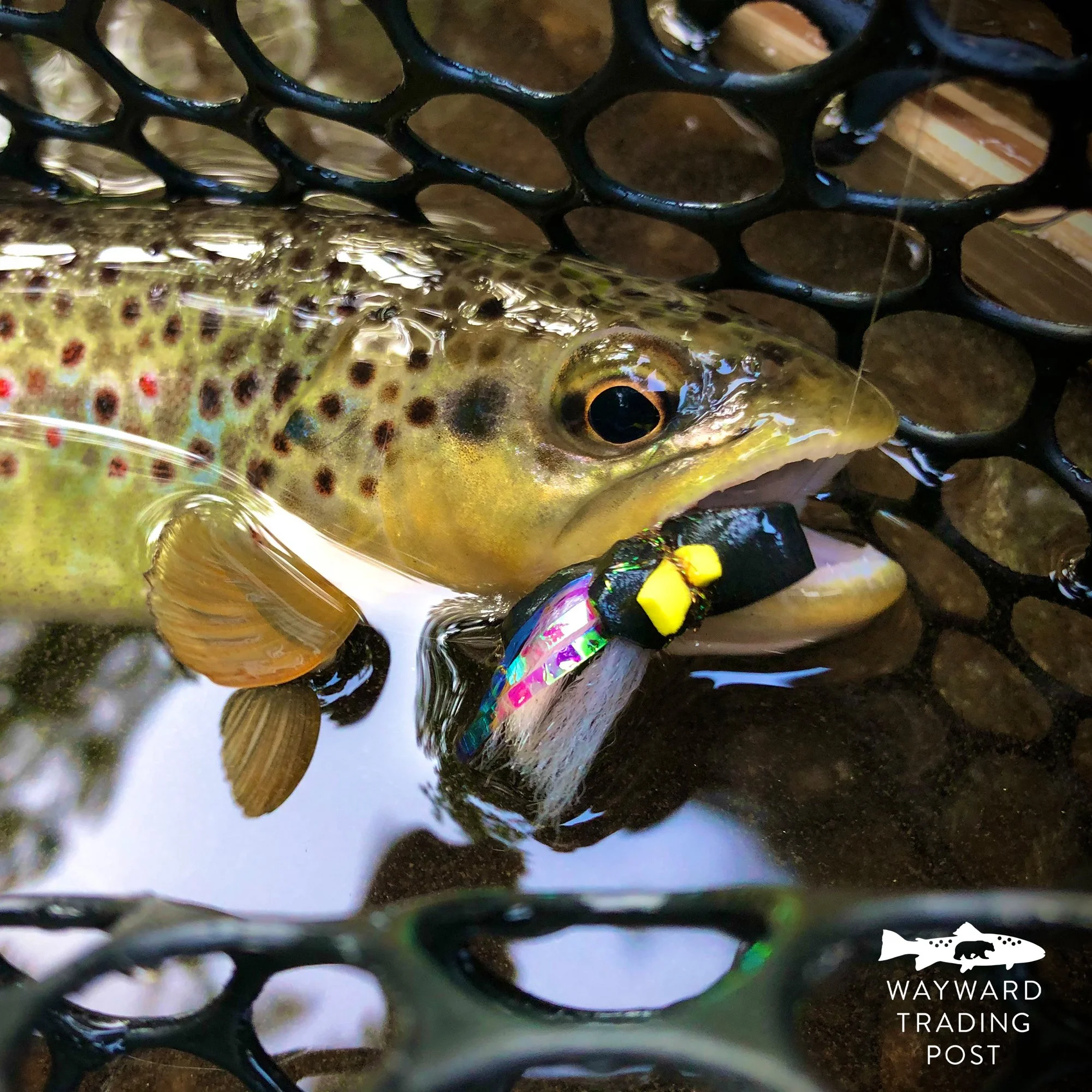 Custom wood fly fishing net — Wayward Handcrafted Fly Fishing Gear ...