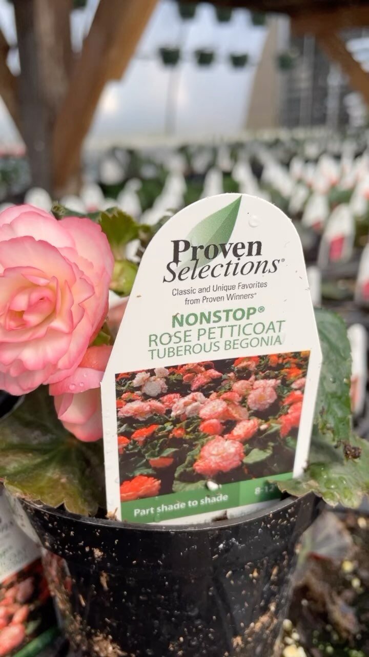 Greenhouse — Dutch Touch Lawn Services