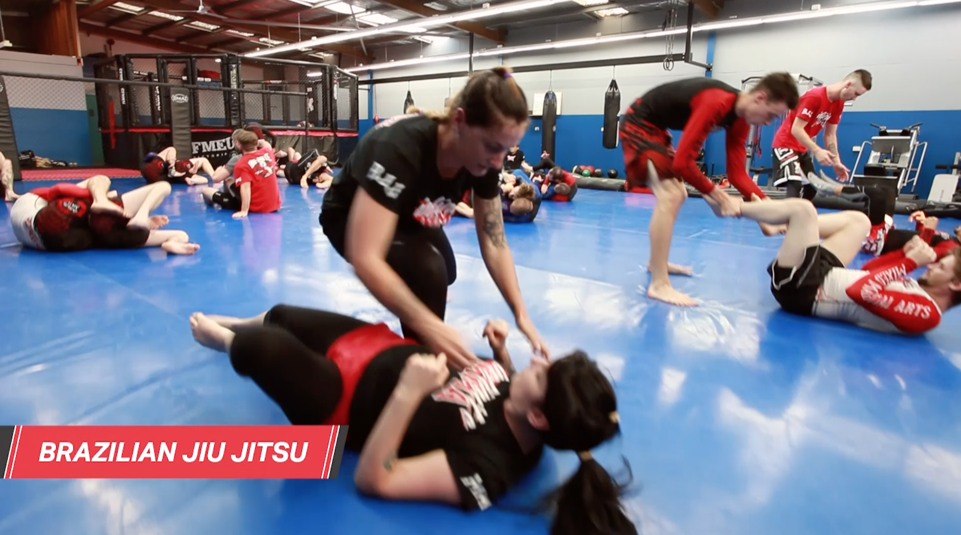 IMMA Online | Infinite MMA