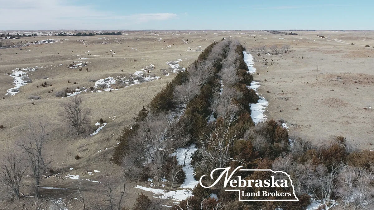 Ringgold Ranch - Dixon Unit, McPherson County, NE SOLD & CLOSED 6.18.21 ...