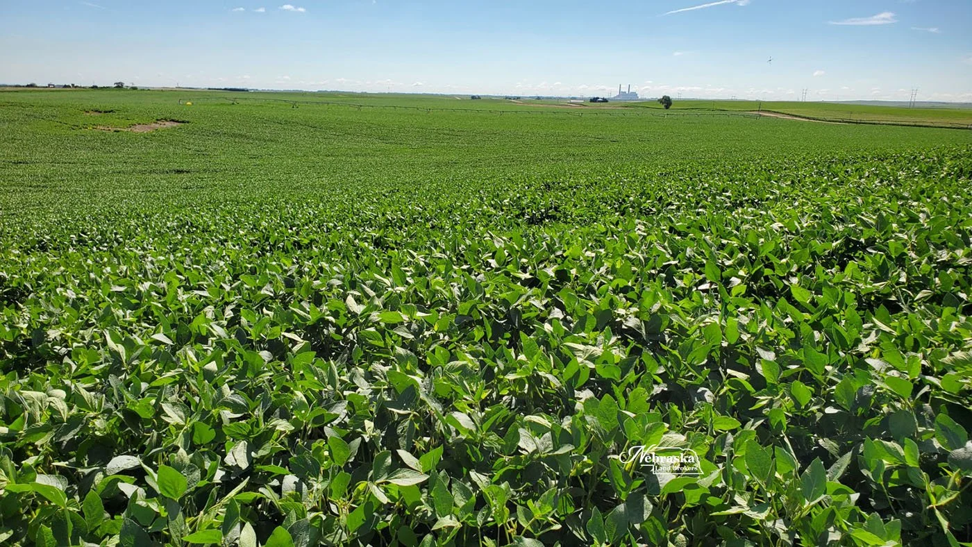Sutherland Pivot Irrigated Farm, Lincoln County NE SOLD & CLOSED 3.3.23 ...