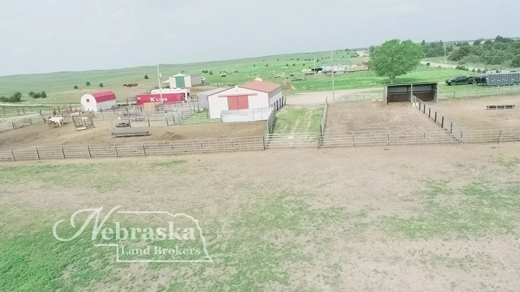 Prairie Zephyr Equine - UNDER CONTRACT! — Nebraska Land Brokers