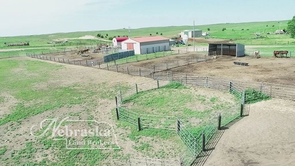 Prairie Zephyr Equine - UNDER CONTRACT! — Nebraska Land Brokers