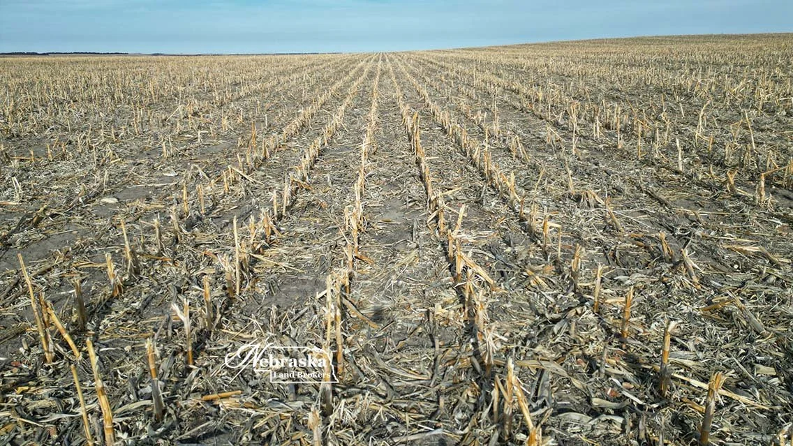 Grainton Non-Irrigated Farm, Eastern Perkins County — Nebraska Land Brokers